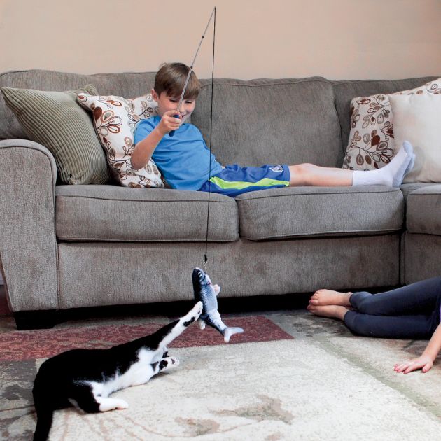 Flippity Fish Cat Toy | JML