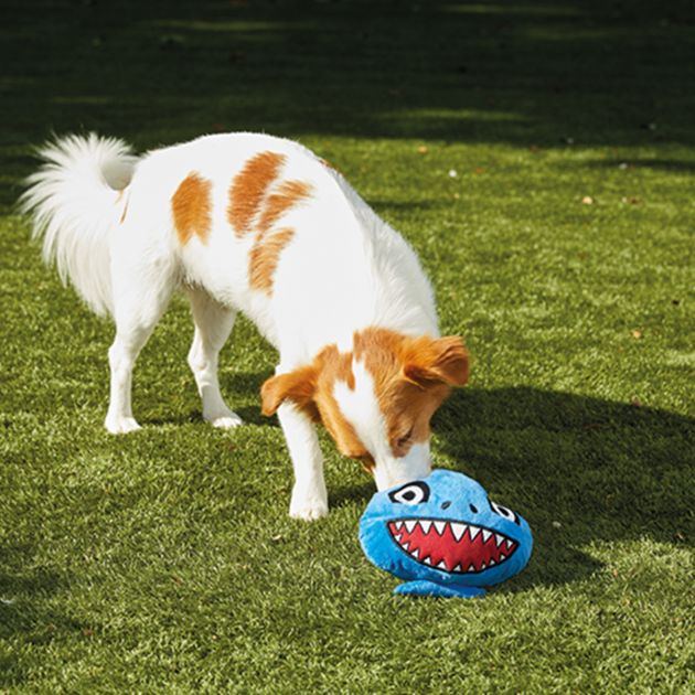 Chuckle Chums Vibrating Dog Toy | JML