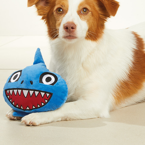 Buy JML Products Online | JMLdirect, Everyday Easier | JML